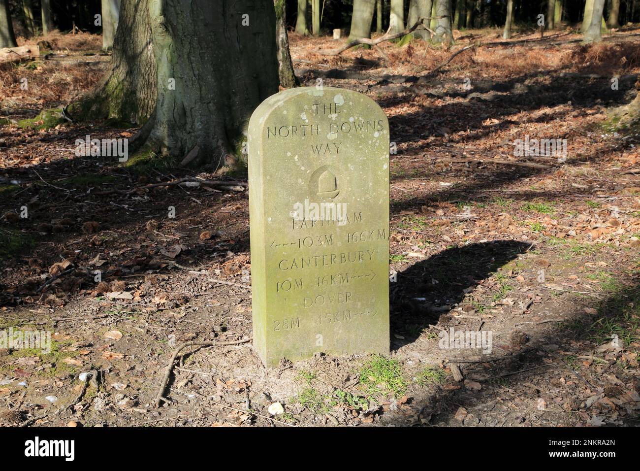 North Downs Way (long distance footpath) marker in Kings Wood, Challock ... North Downs Way (long distance footpath) marker in Kings Wood, Challock ...