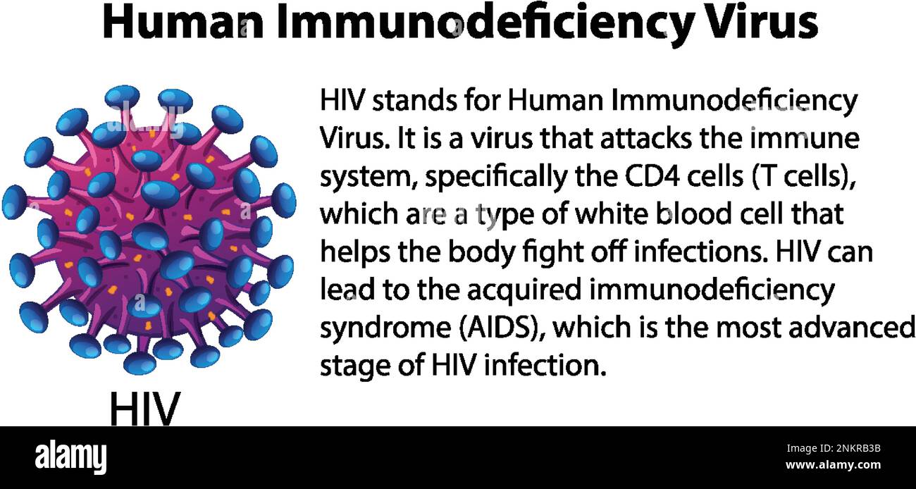 Immunodeficiency vector vectors hi-res stock photography and images - Alamy