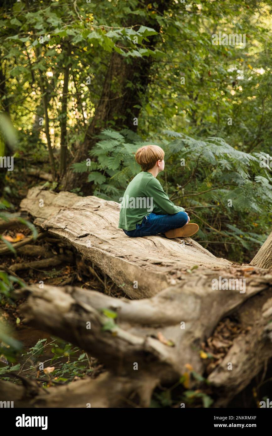 Young boy sitting alone on fallen tree in woods Stock Photo - Alamy