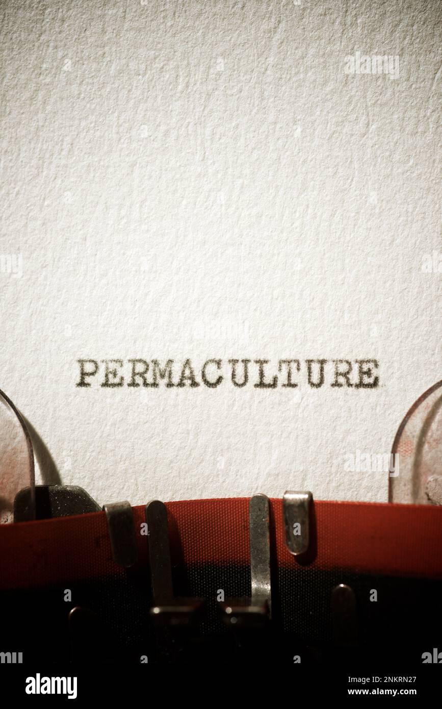 Permaculture word written with a typewriter Stock Photo - Alamy