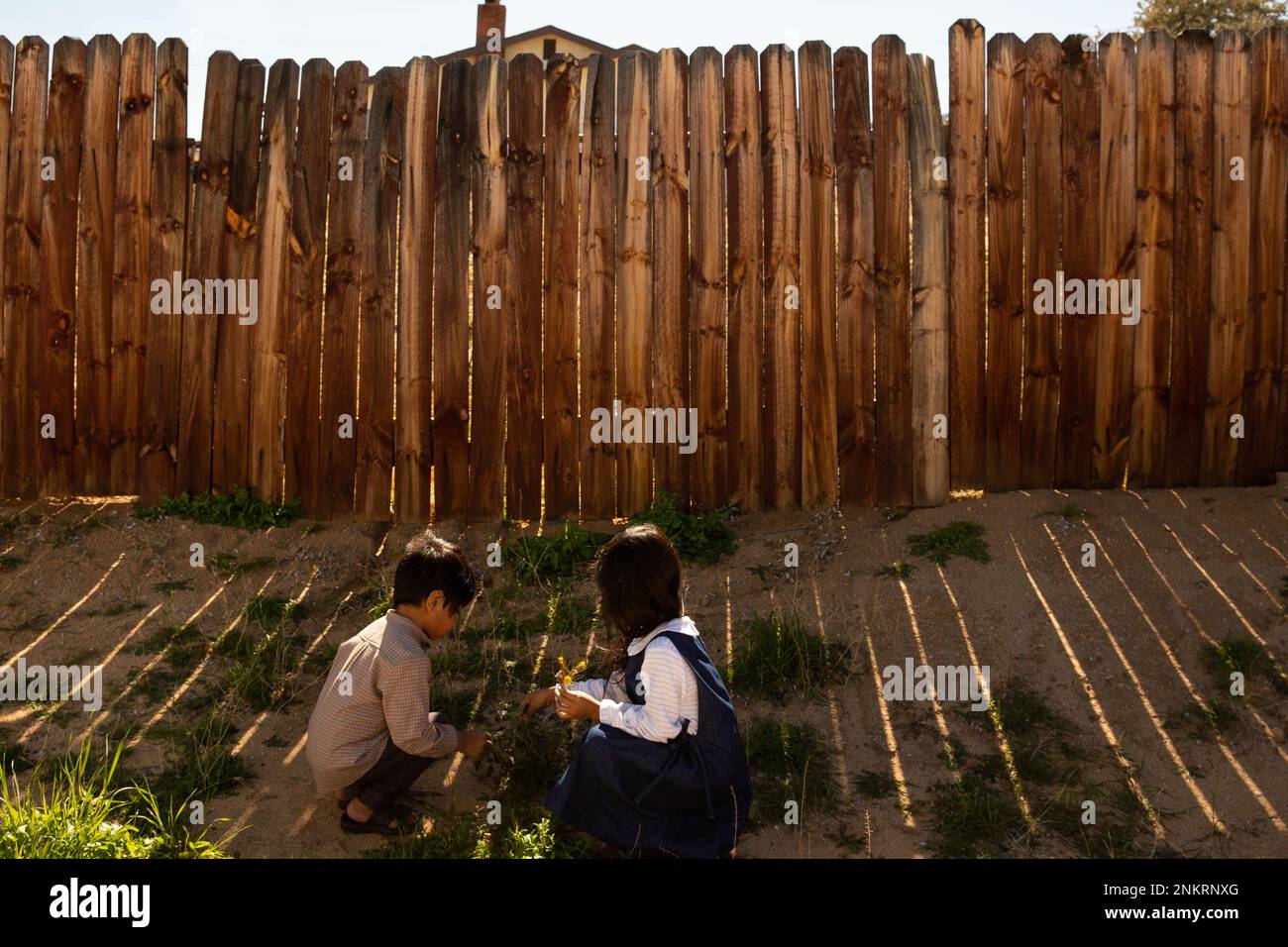 Two children in backyard playing on ground with wooden fence Stock ...