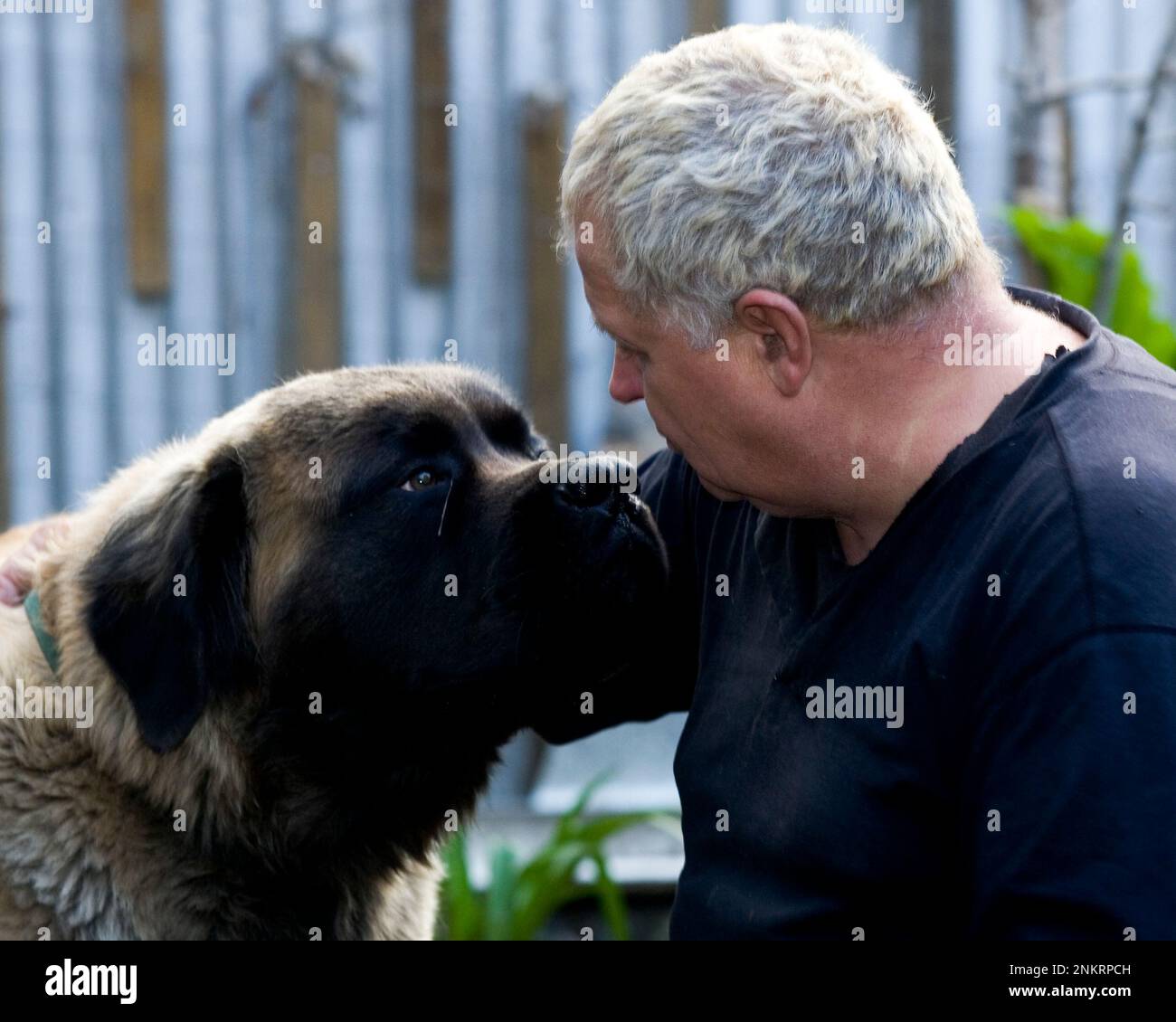 NBVAMPIRE14 035 OHARA.CR2 Petaluma, CA. Stephan Buchanan, a Petaluma ...