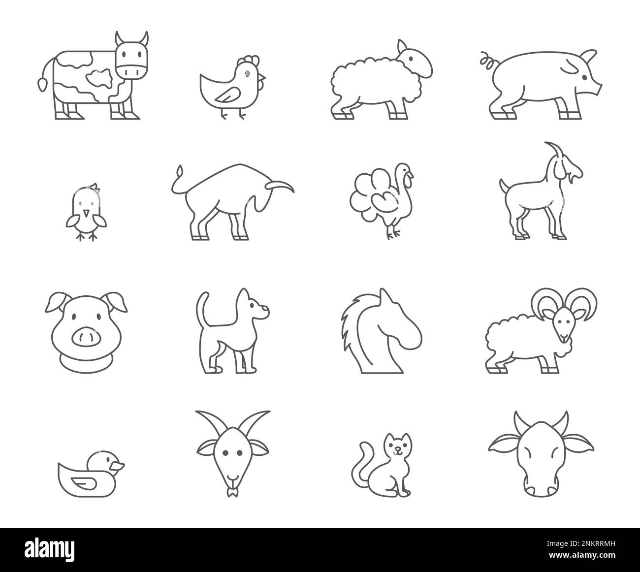 Animal livestock farm poultry Black and White Stock Photos & Images - Alamy