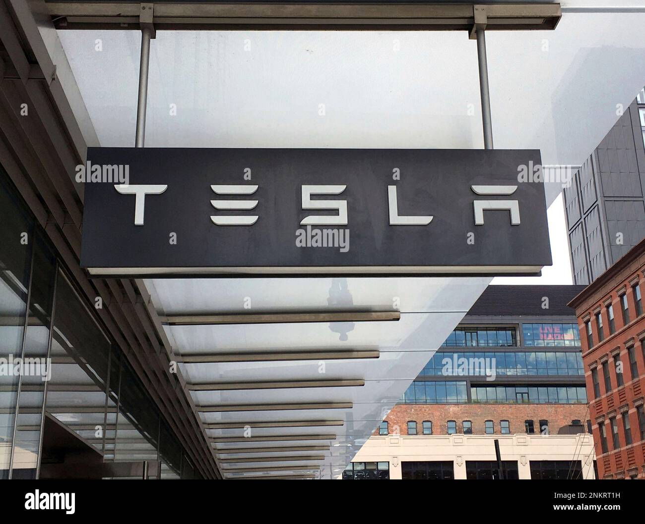 FEBRUARY 15th 2022: Elon Musk - CEO of Tesla and SpaceX - donated ...