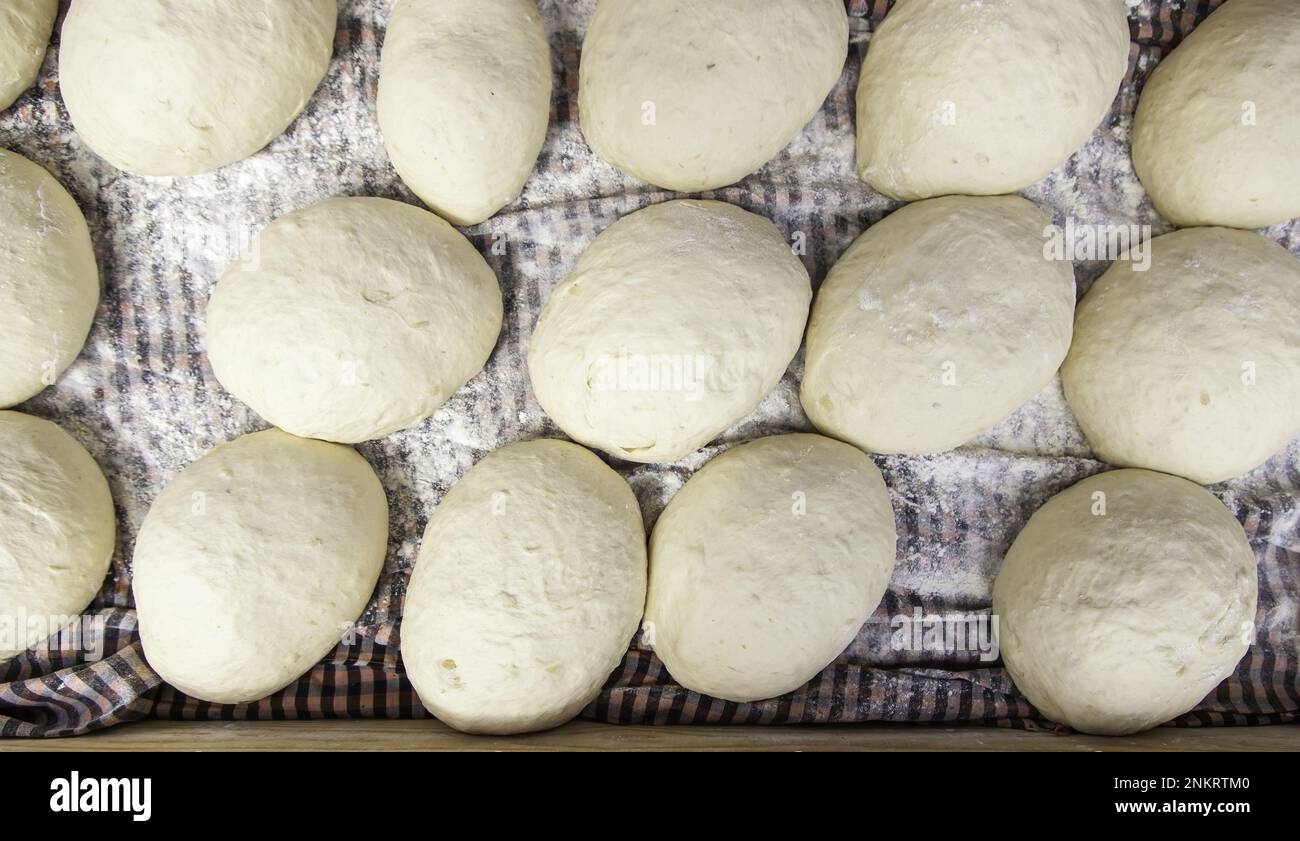 Detail of sourdough balls to make bread, tradition and crafts Stock ...