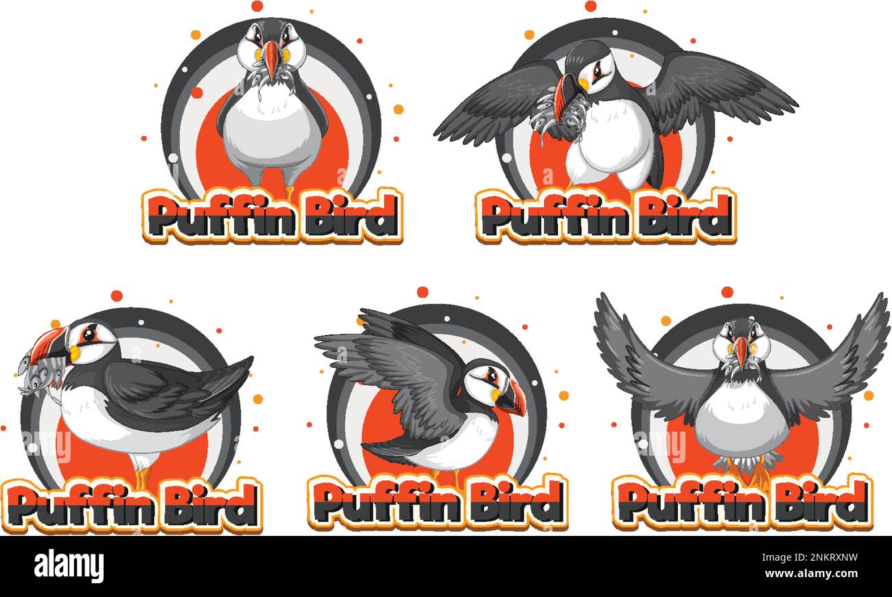 Puffin in flight Cut Out Stock Images & Pictures - Alamy