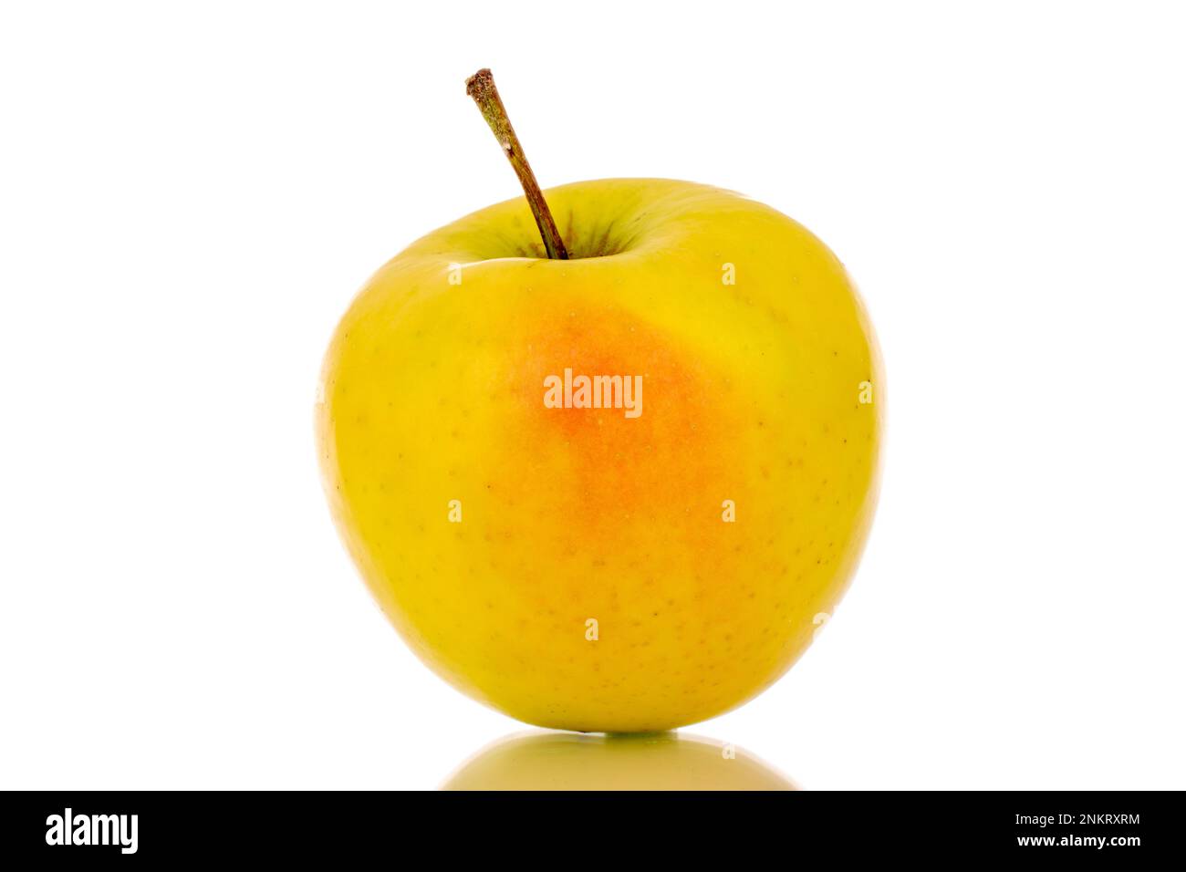 One ripe juicy apple, macro, isolated on white background Stock Photo ...