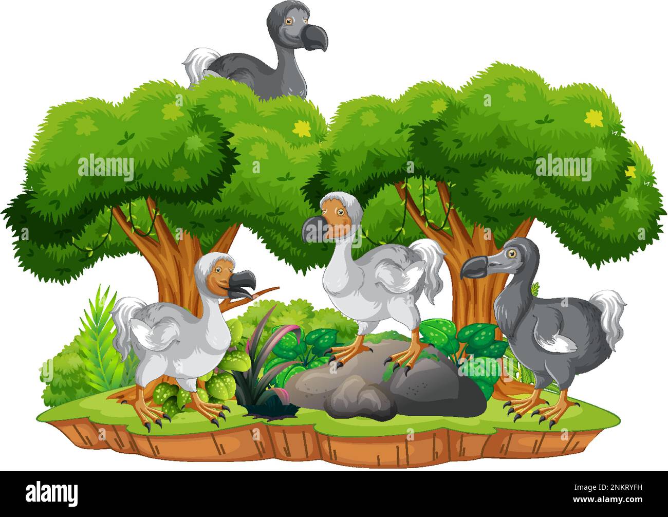 Dodo bird extinction animal cartoon character illustration Stock Vector ...