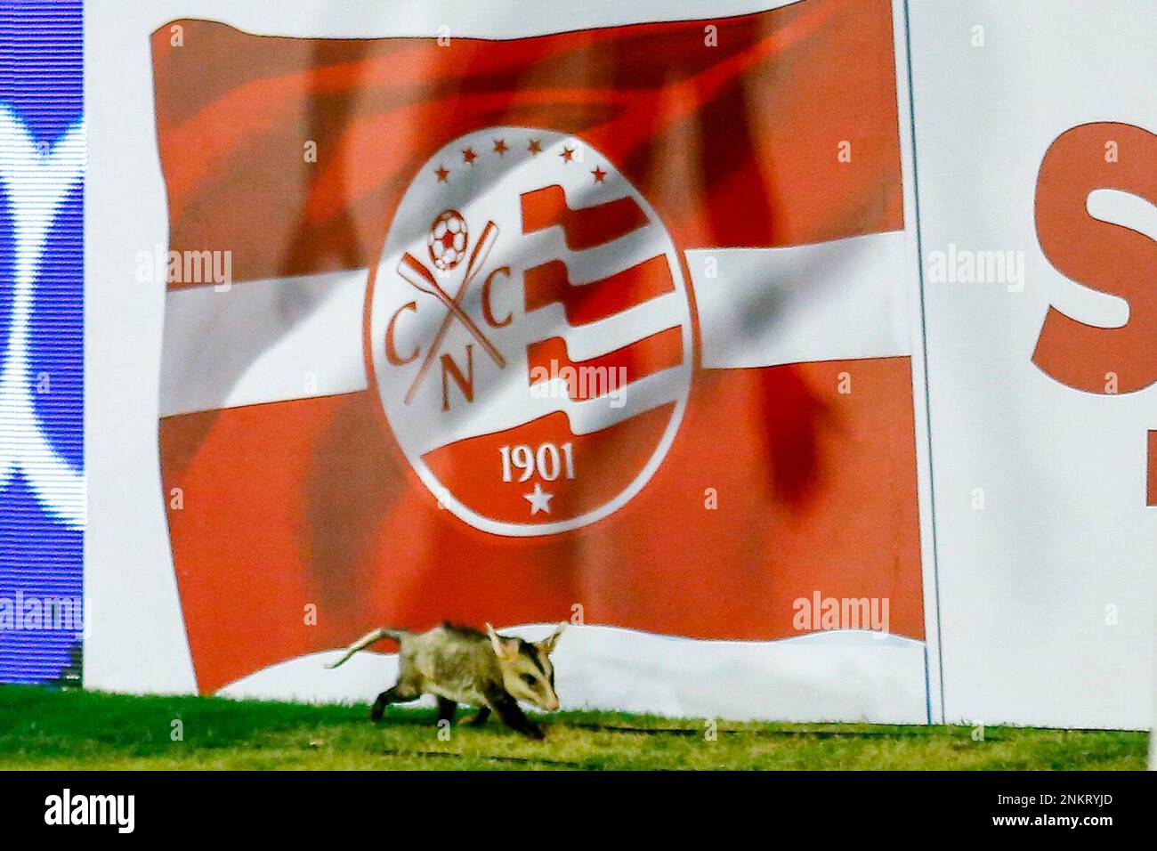 PE - Recife - 02/15/2022 - 2022 NORTHEAST CUP, NAUTICO X ATLETICO/BA ...