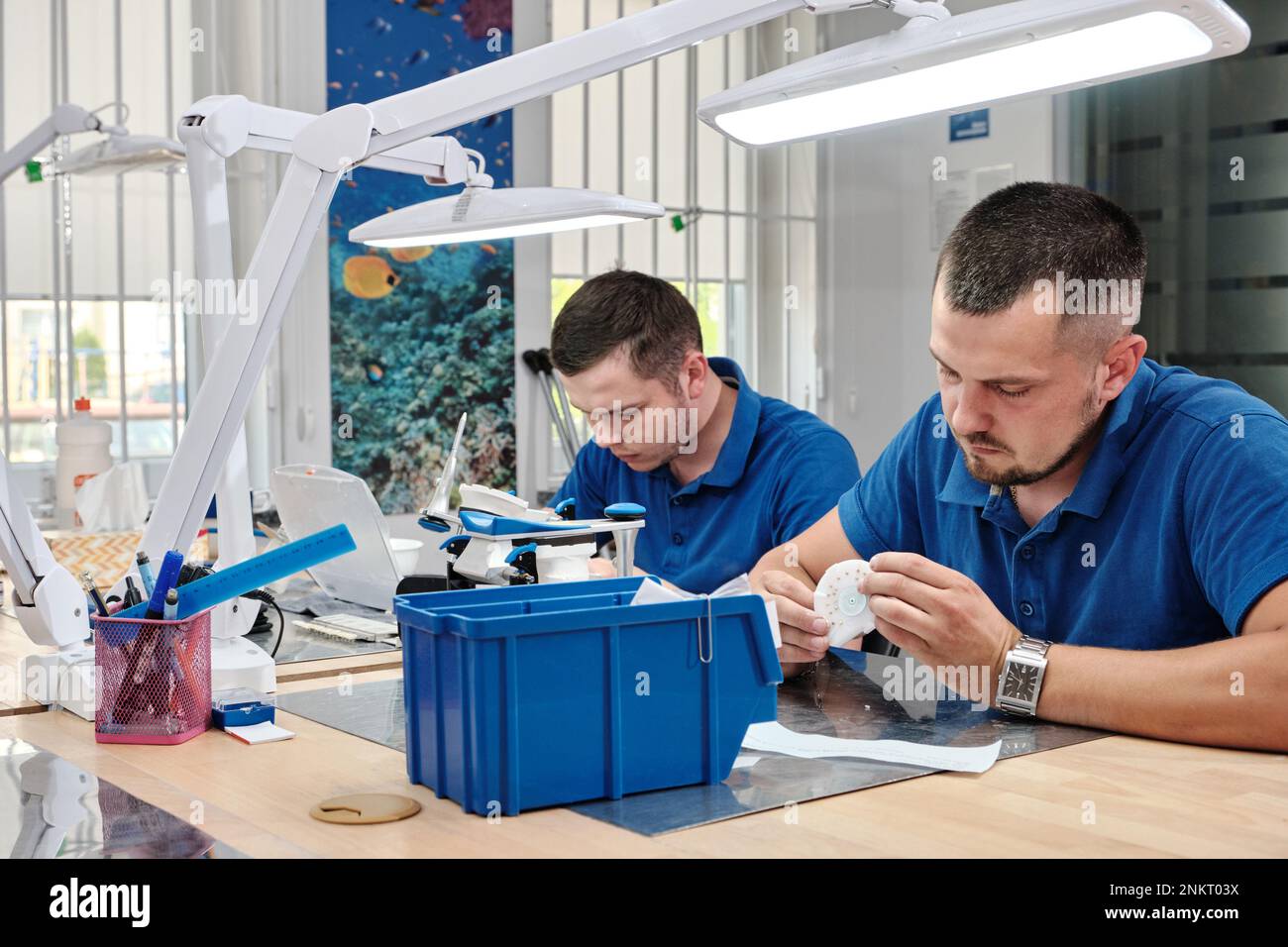 Two dental technicians working in a dental laboratory. Dental implant ...