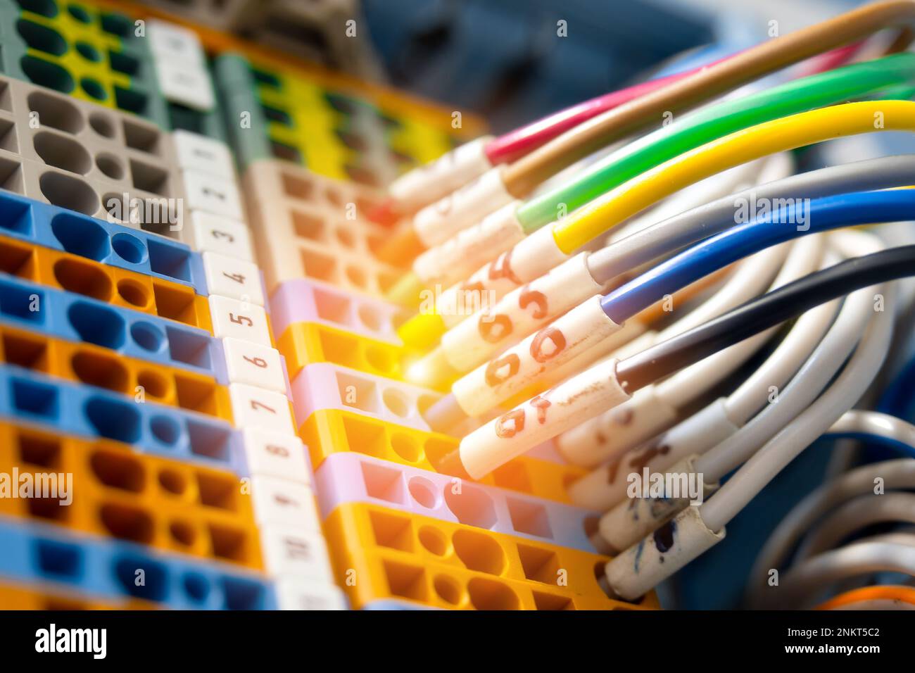 Network cables connected to switch. Many multi-colored wires connected ...