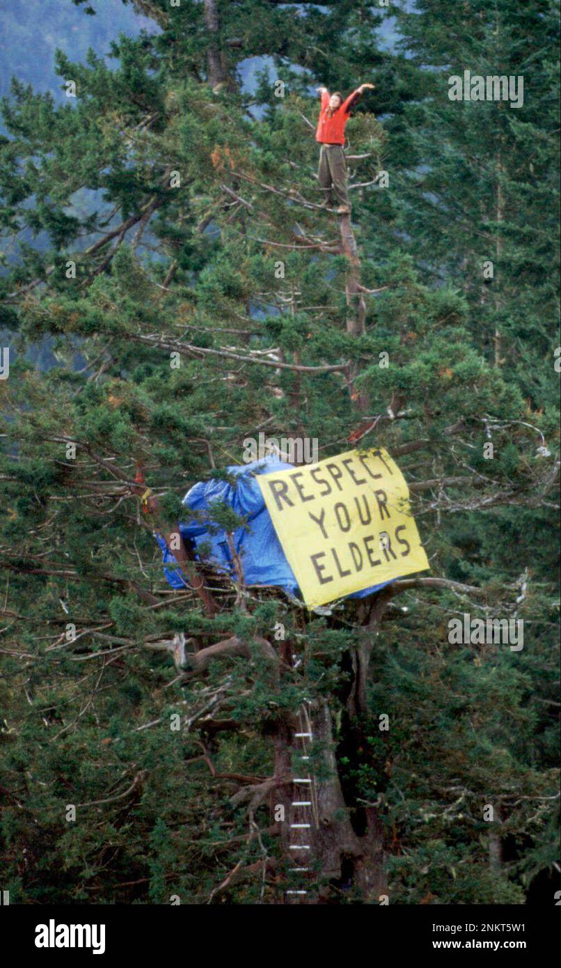 Environmental activist Julia "Butterfly" Hill, 24, stands barefoot at ...