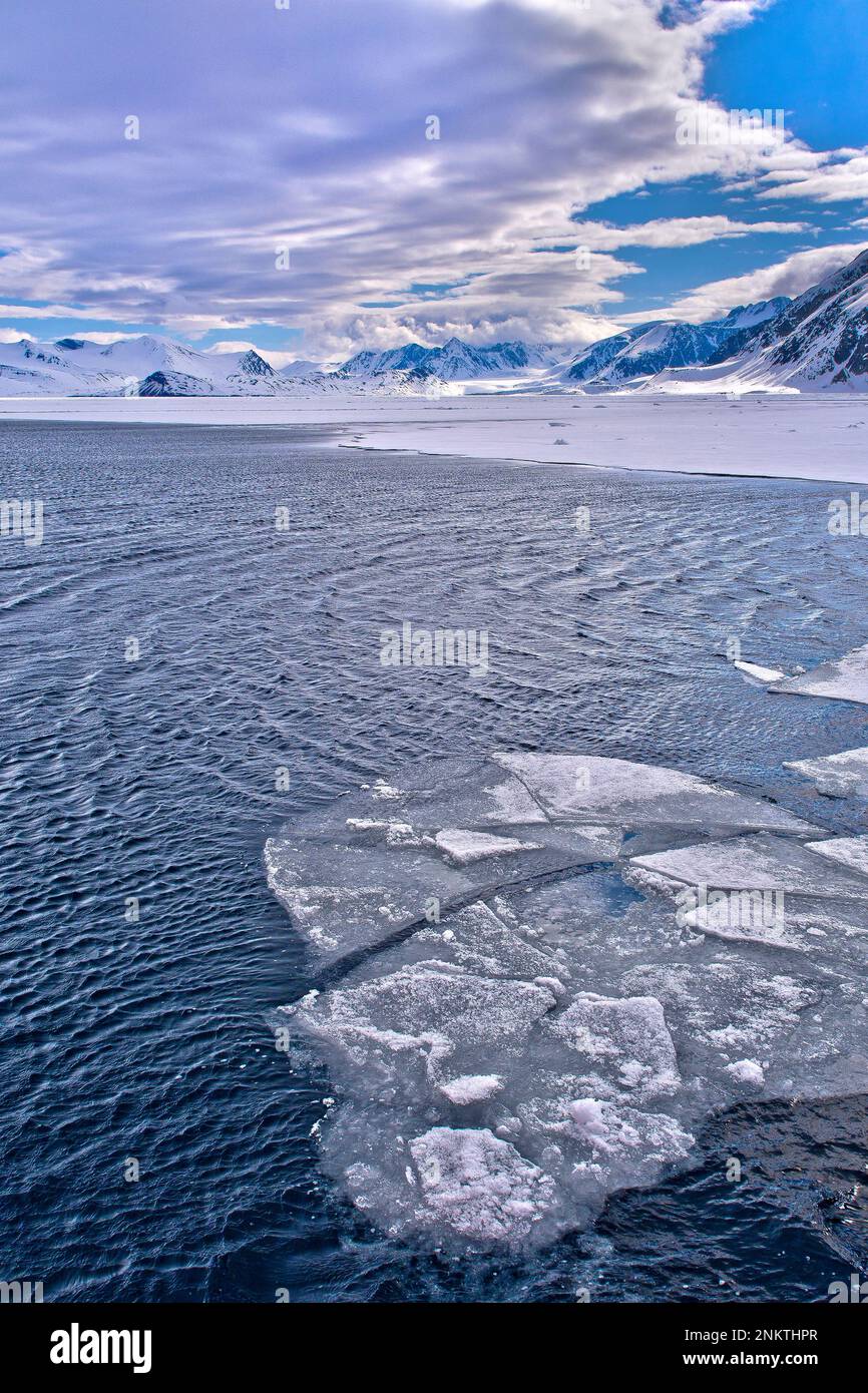 Drift floating Ice and Snowcapped Mountains, Iceberg, Ice Floes, Albert ...