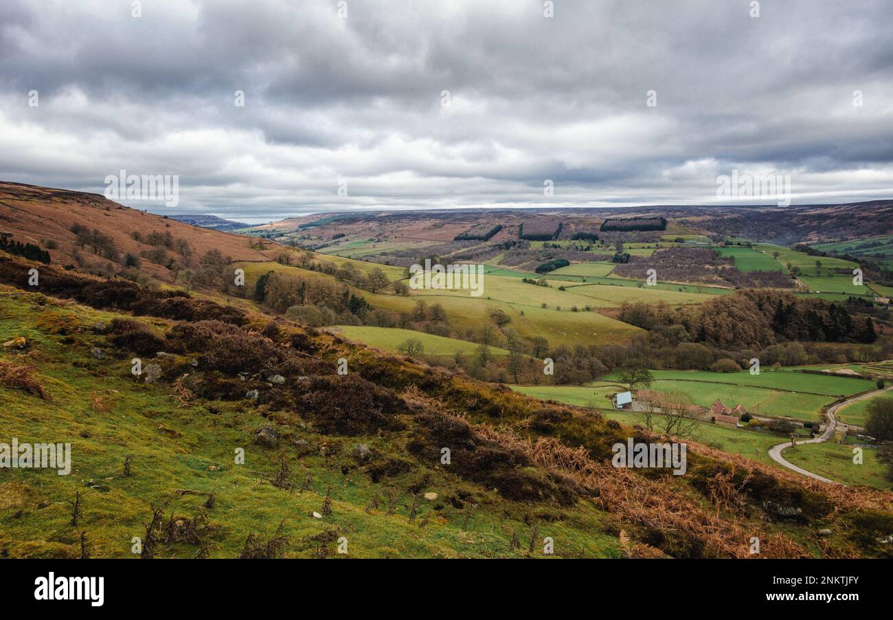 View from the Bilsdale Transmitter on the North York Moors, North ...