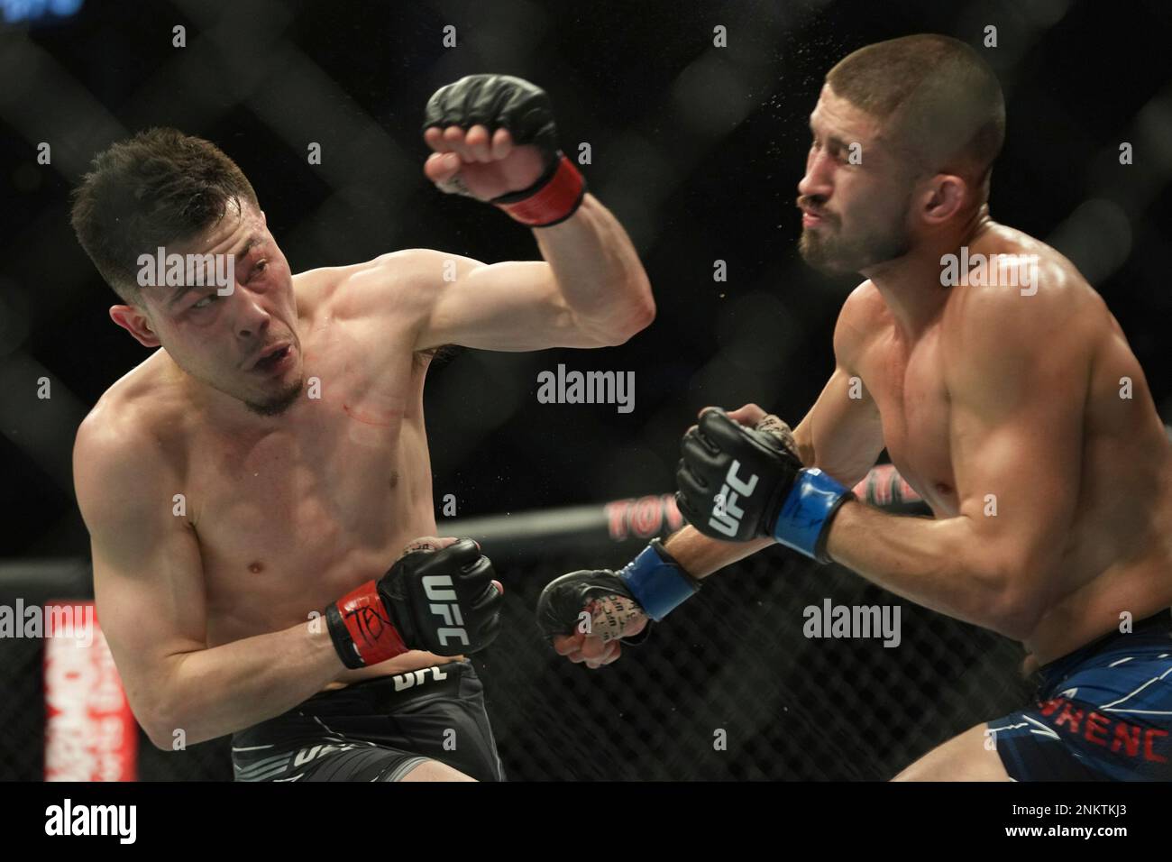 HOUSTON, TX - FEBRUARY 12: (L-R) Mana Martinez punches Ronnie Lawrence ...