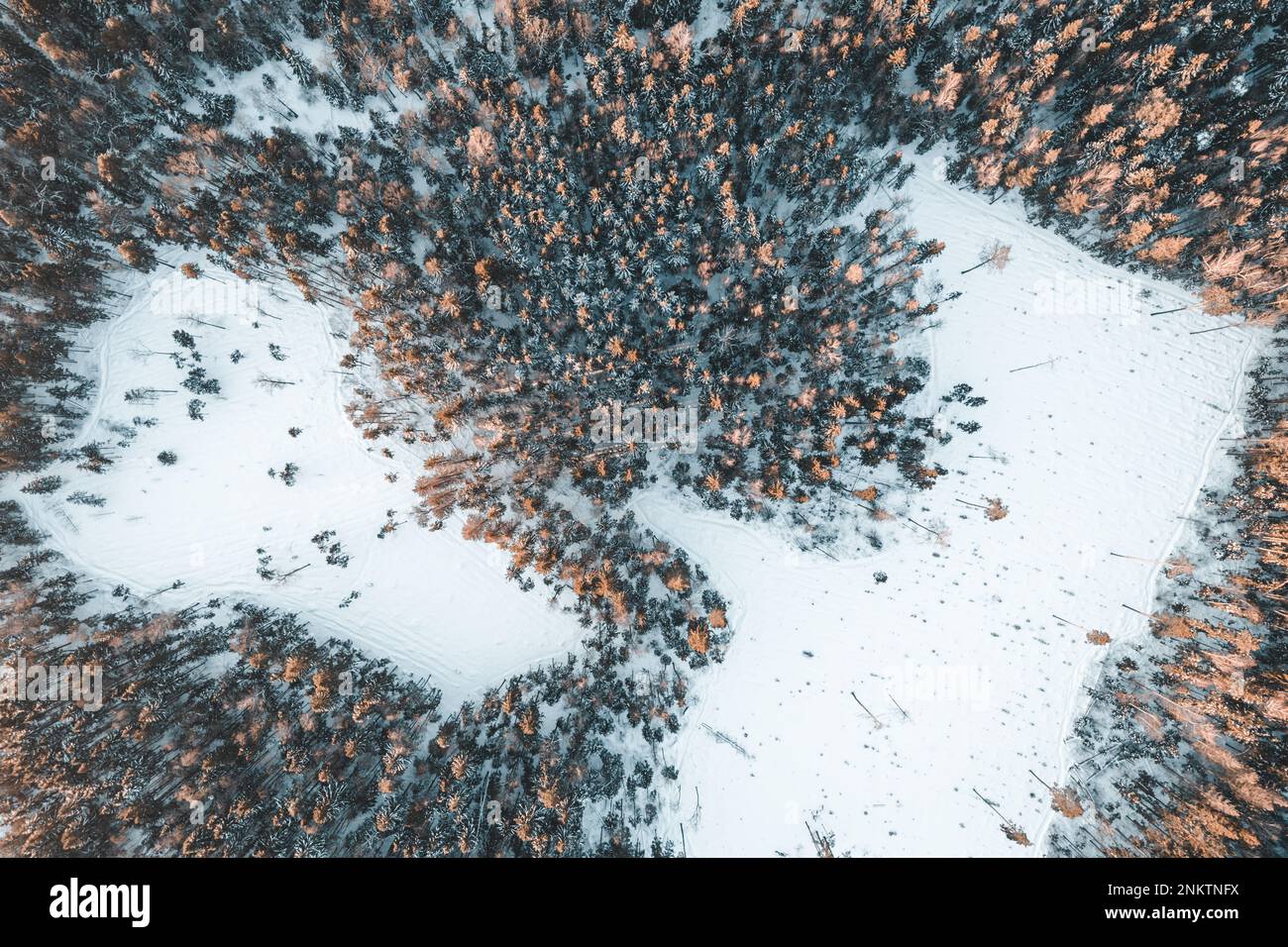 Aerial 4k footage forest hi-res stock photography and images - Alamy
