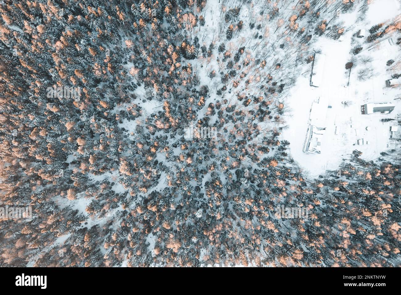 Aerial 4k footage forest hi-res stock photography and images - Alamy