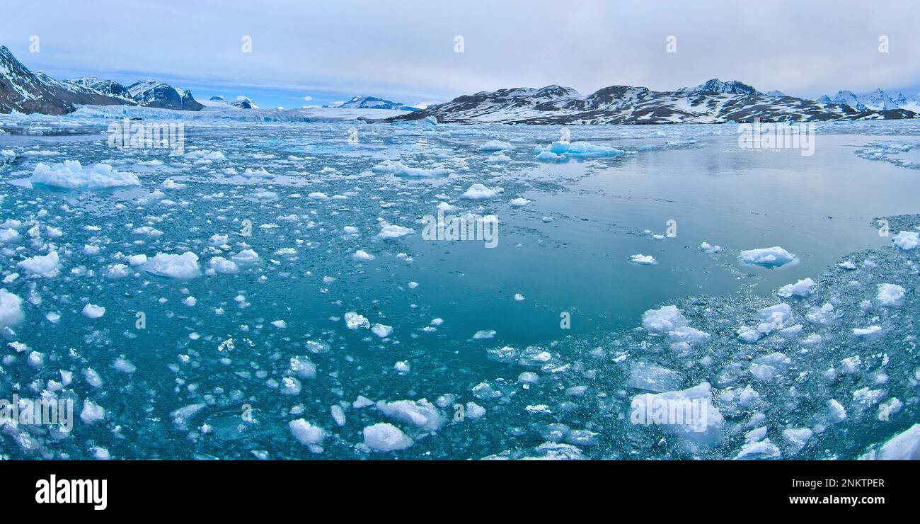 Drift floating Ice and Snowcapped Mountains, Iceberg, Ice Floes, Albert ...