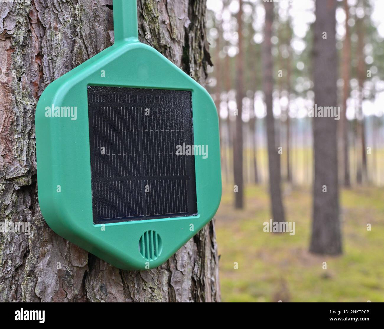 Eberswalde, Germany. 23rd Feb, 2023. A forest fire sensor for the ...
