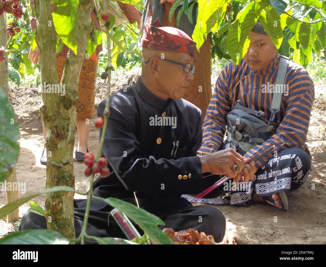 The old man does a ritual for manten kopi (Coffee marriage). Coffee ...