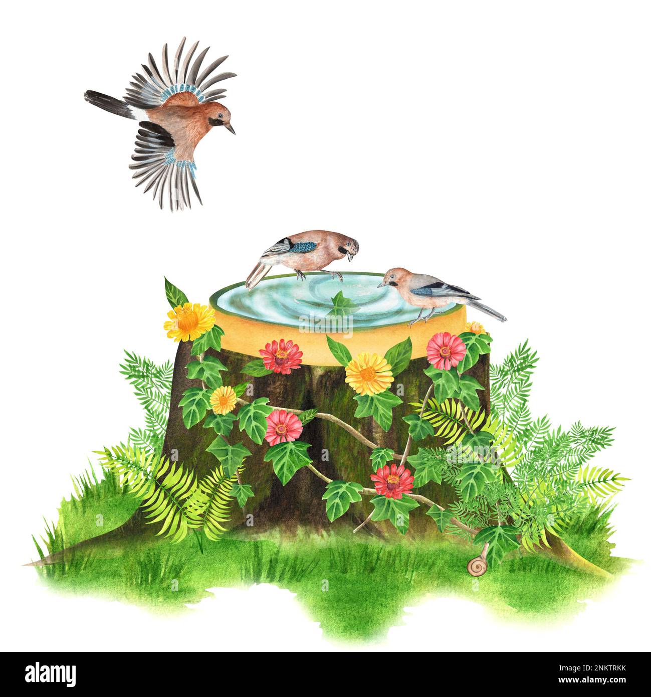 Birds nature flowers water Cut Out Stock Images & Pictures - Alamy