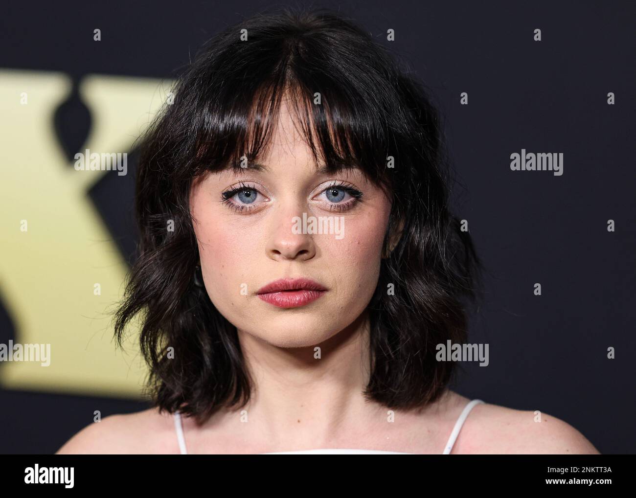 HOLLYWOOD, LOS ANGELES, CALIFORNIA, USA - FEBRUARY 23: Amanda Fix ...