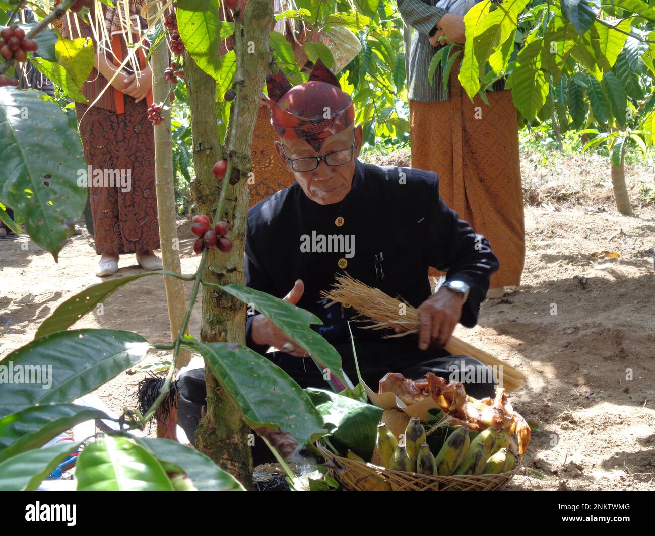 The old man does a ritual for manten kopi (Coffee marriage). Coffee ...
