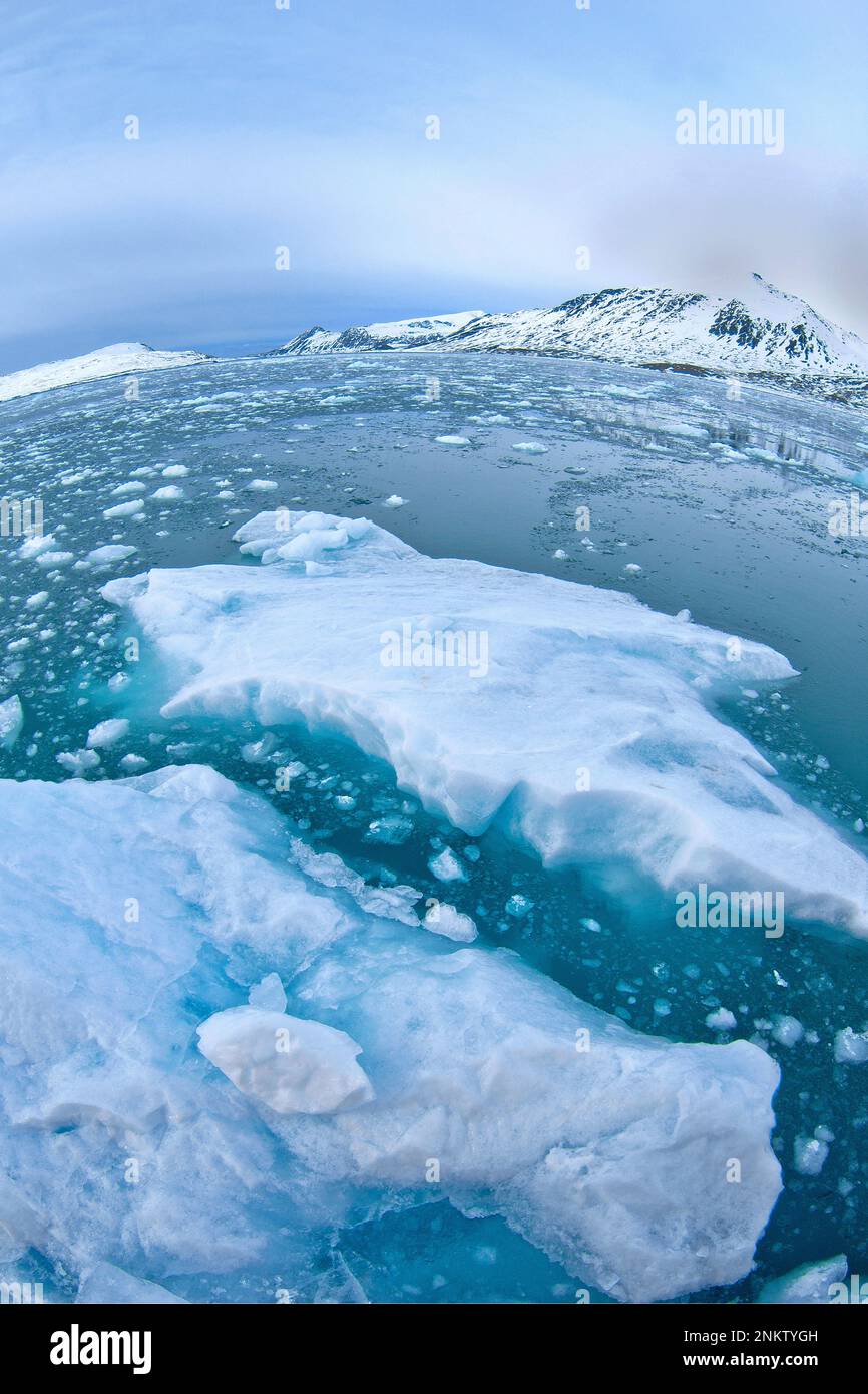 Drift floating Ice and Snowcapped Mountains, Iceberg, Ice Floes, Albert ...