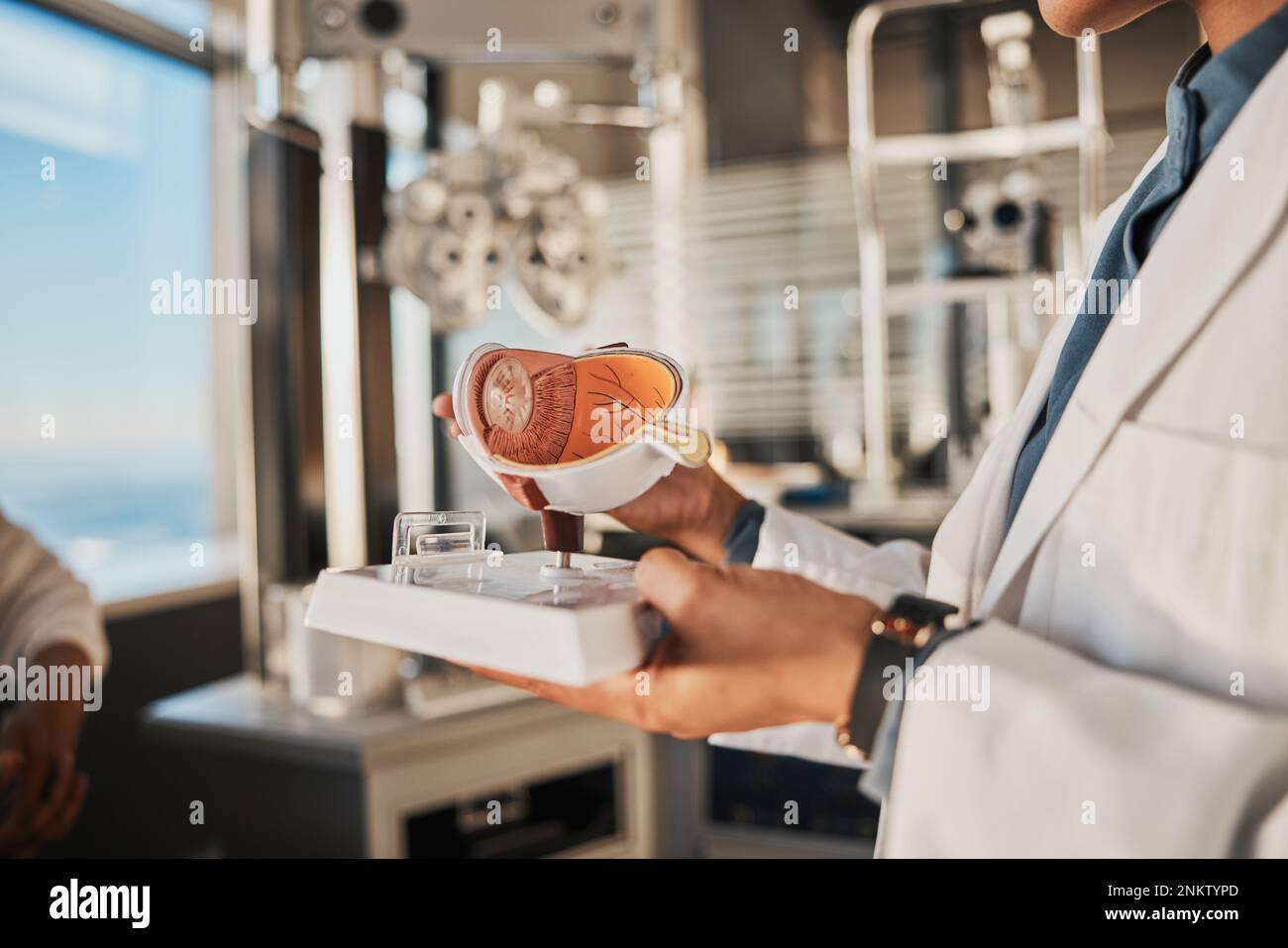 Eye retina anatomy, doctor hands and consultation model for eyes exam ...