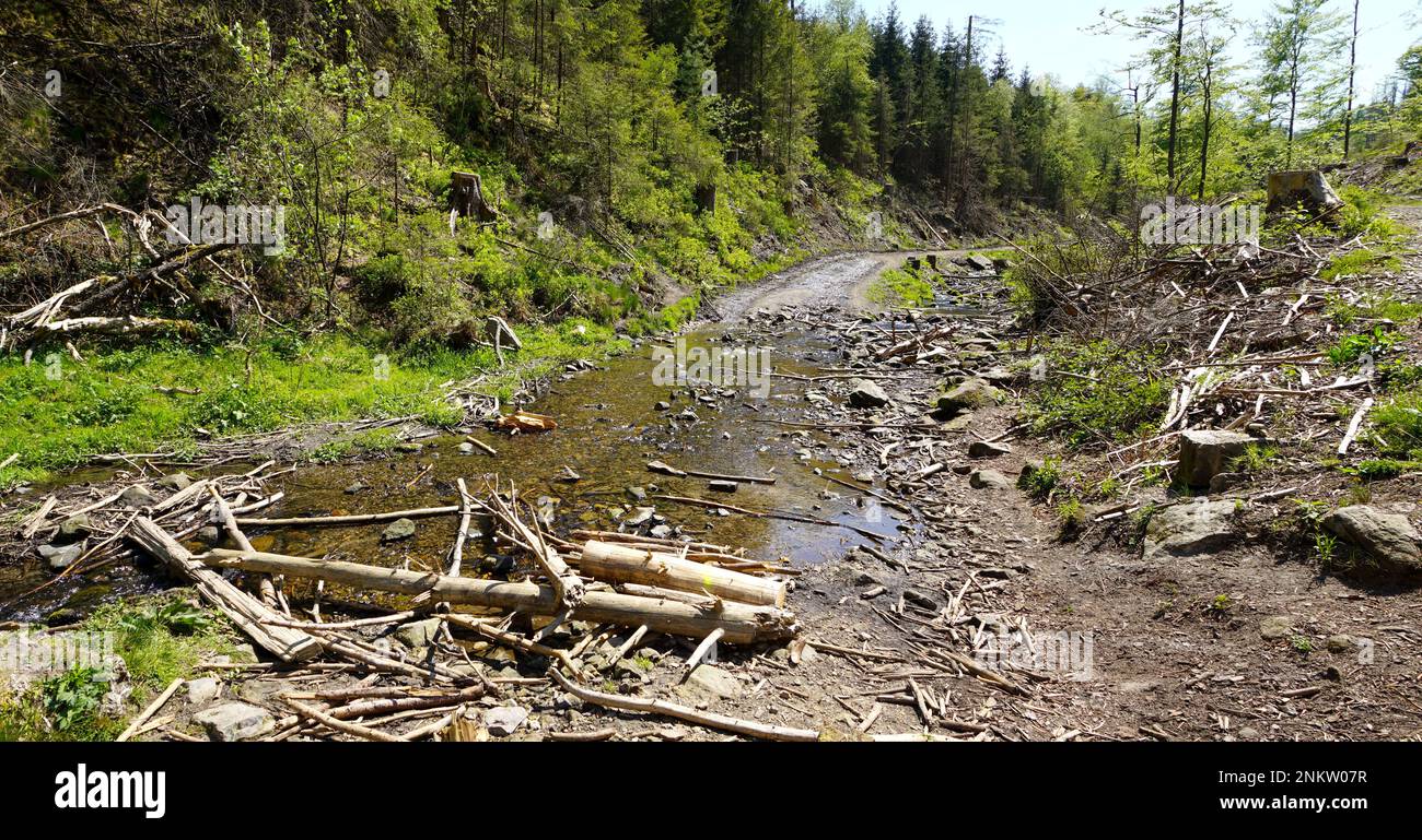 Naturpark teutoburger wald hi-res stock photography and images - Alamy