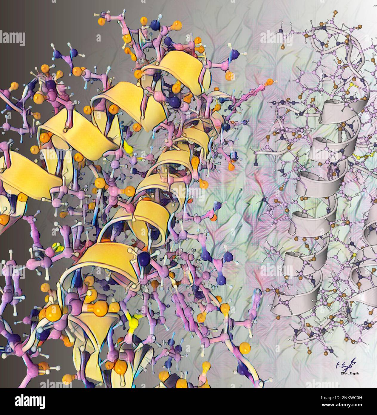 Bovine prion protein fragment, illustration Stock Photo - Alamy