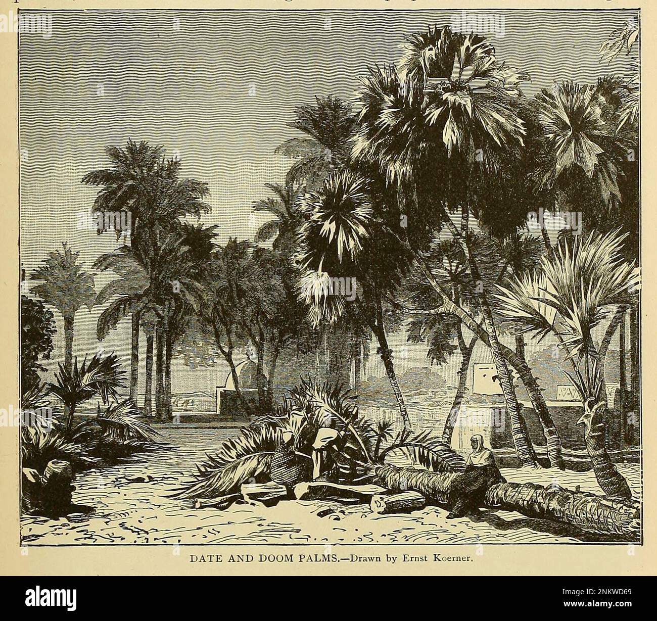 Ancient egyptian farming hi-res stock photography and images - Alamy