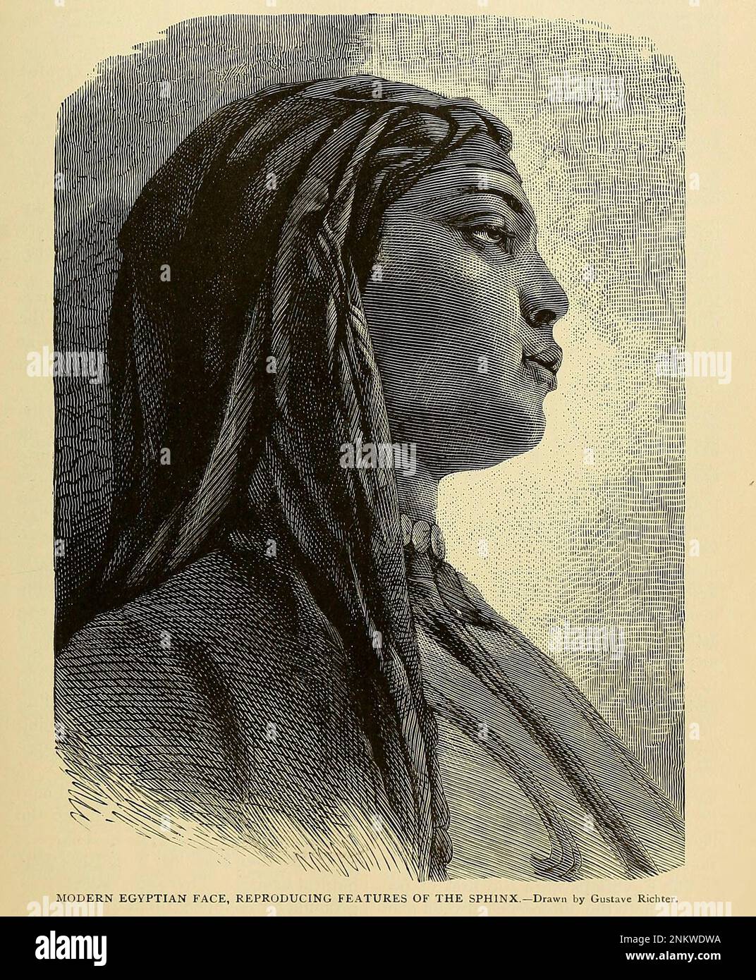 Ancient Egyptian Person Face