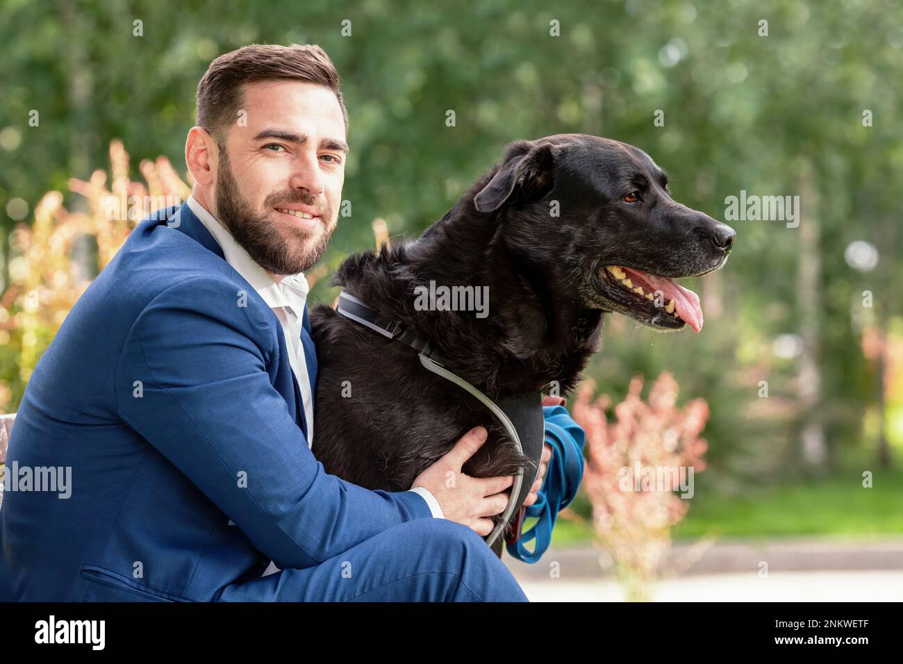 Man dog walk handsome hi-res stock photography and images - Alamy