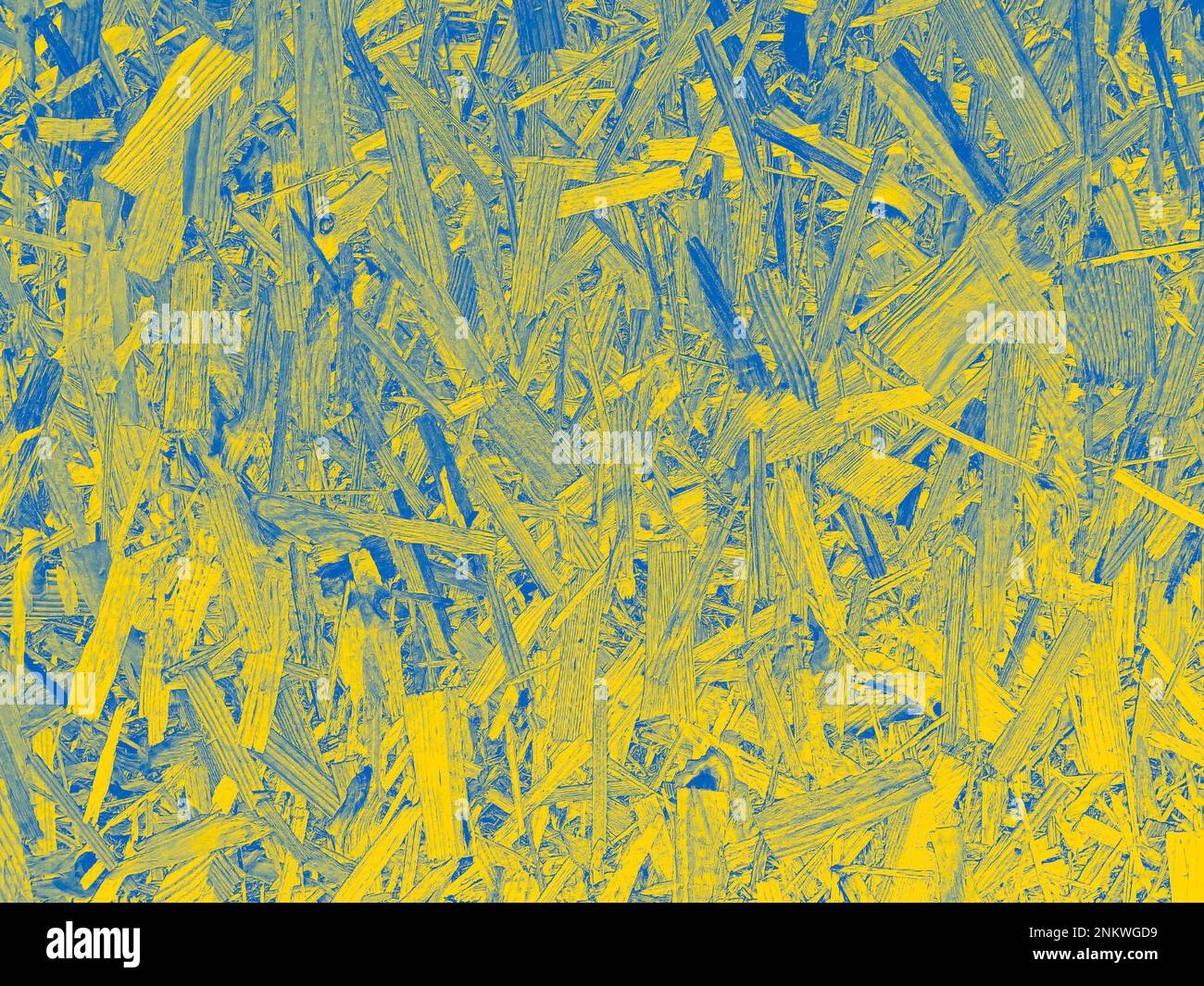 close up of splinter wood board texture colored in colors of Ukrainian ...