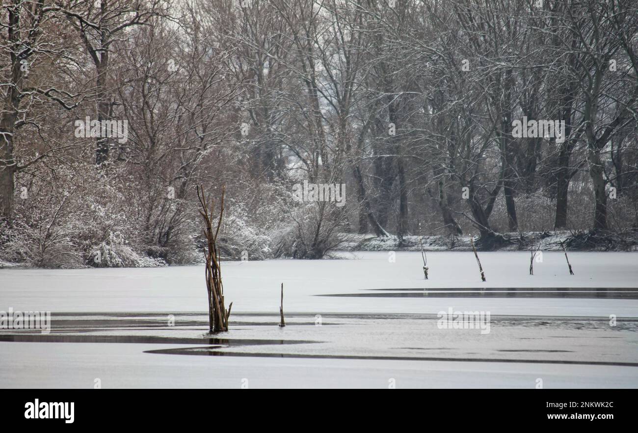 A scenic winter scene of snow-covered trees and shrubs surrounding a ...