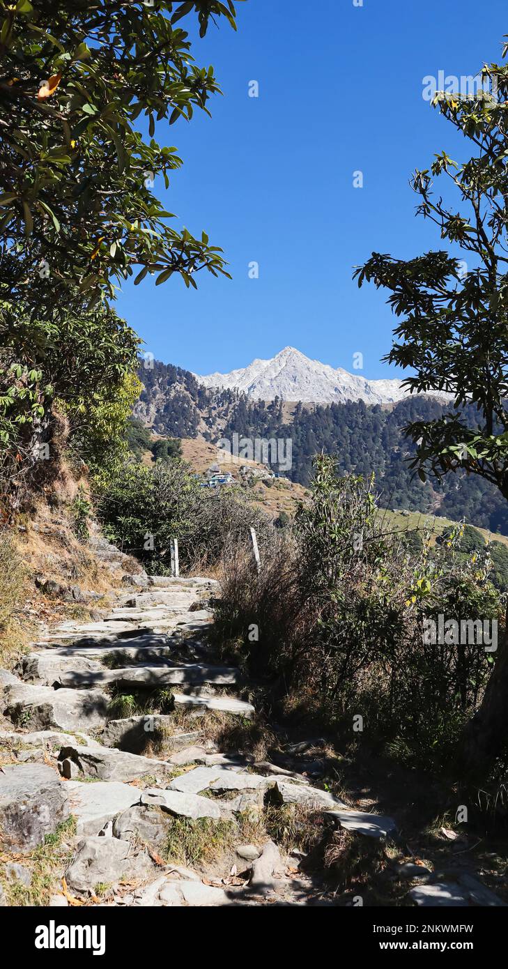 Triund trek top hi-res stock photography and images - Alamy