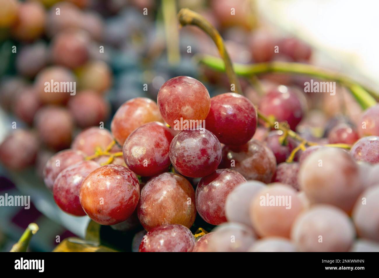 Grape clusters hi-res stock photography and images - Alamy