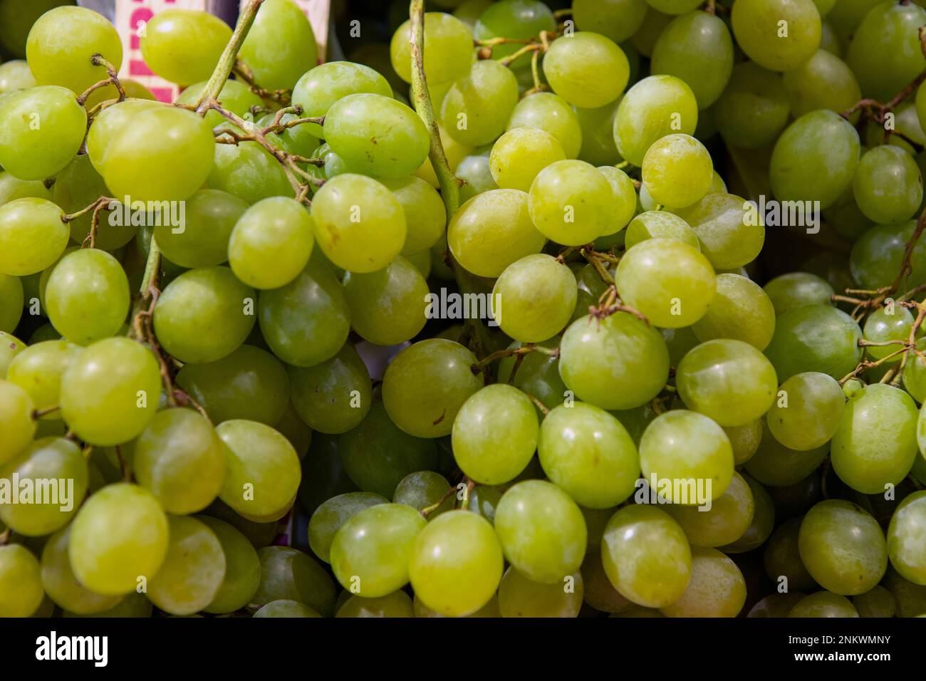 Close-up of ripe grape clusters, vividly capturing their texture and ...