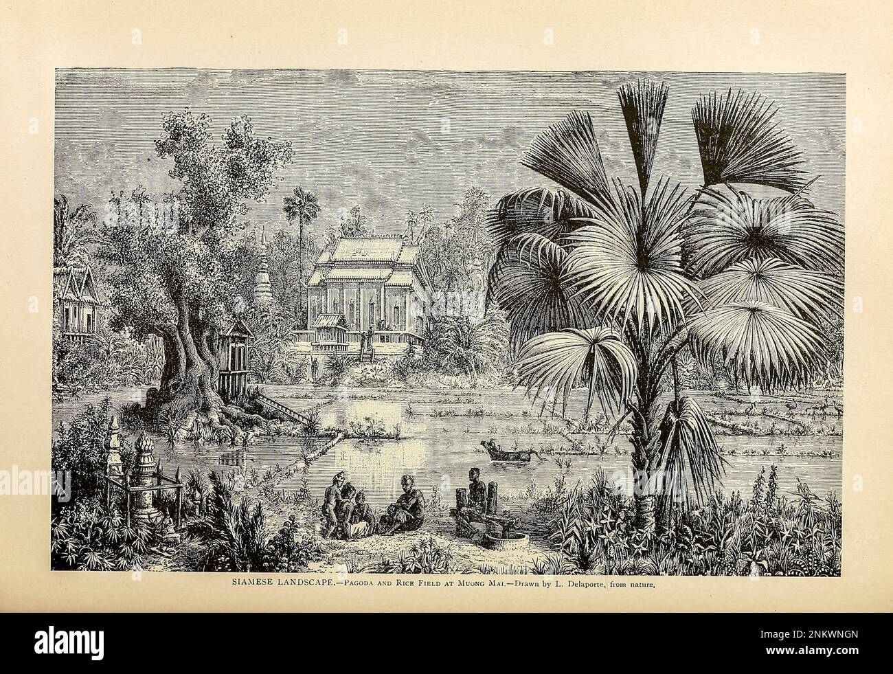 19th century thai siamese hi-res stock photography and images - Alamy