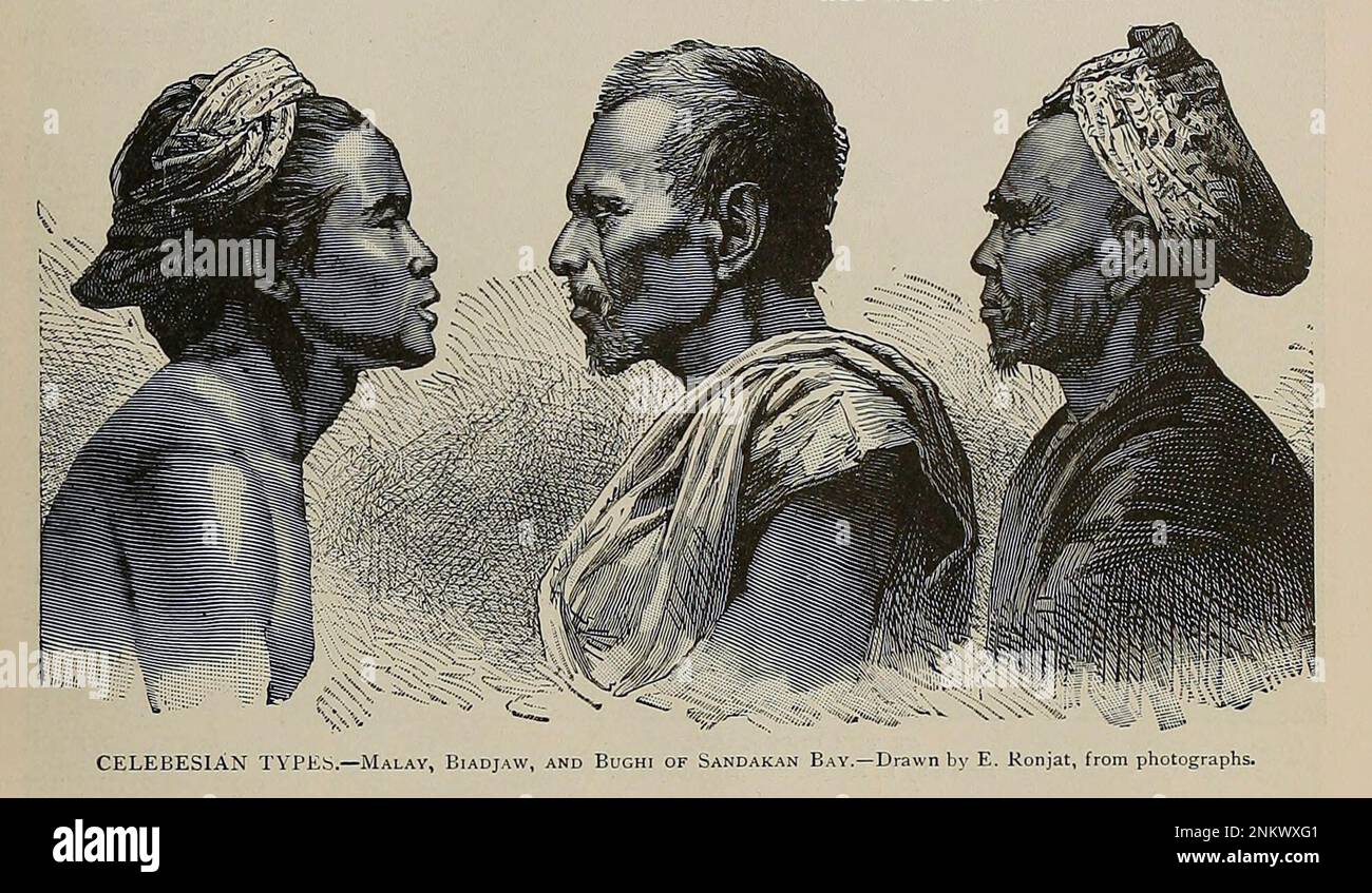 Bughi hi-res stock photography and images - Alamy