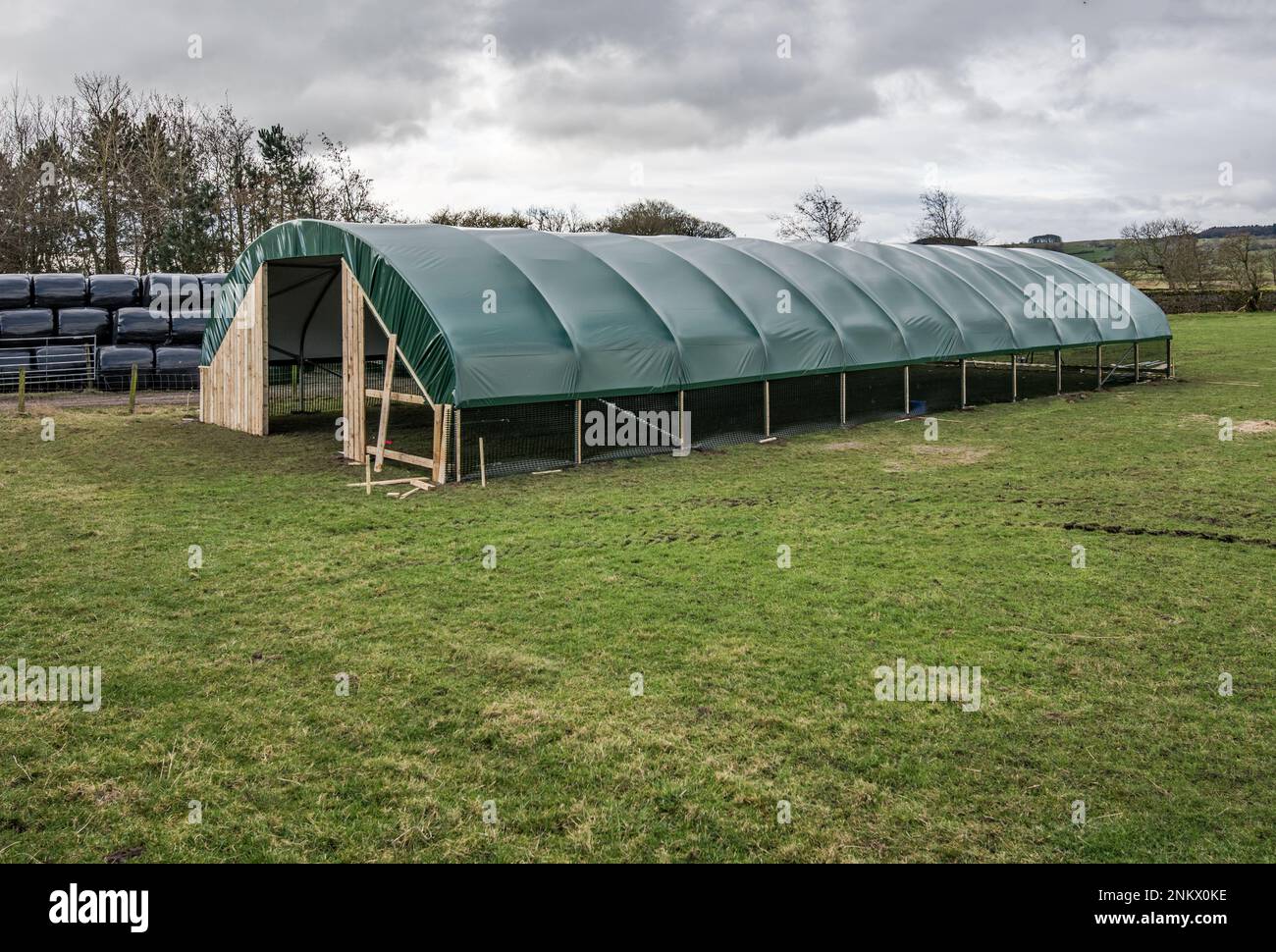 Installation of a single span, livestock polytunnel at Back Lane, Long ...
