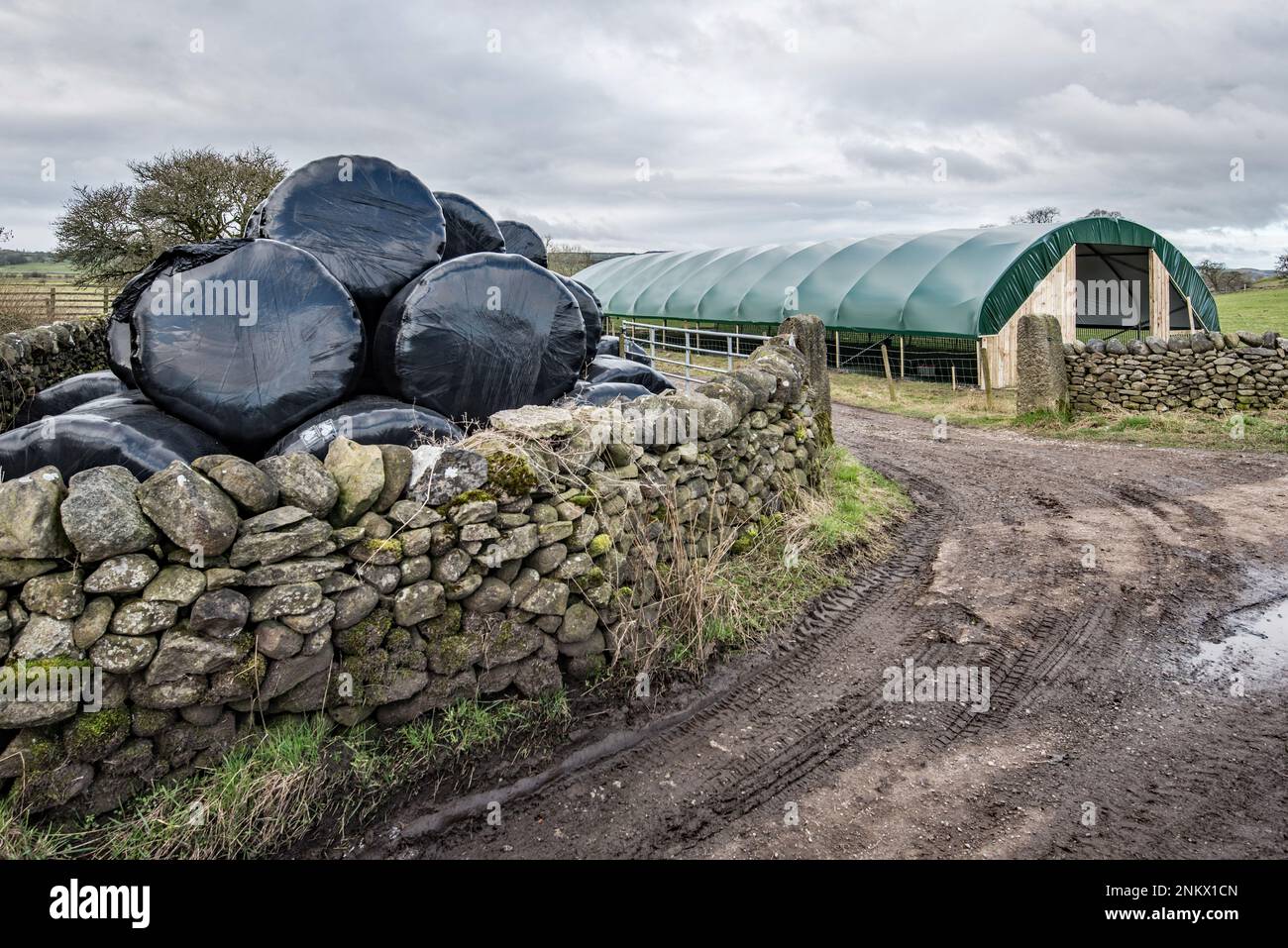 Polytunnel installation hi-res stock photography and images - Alamy