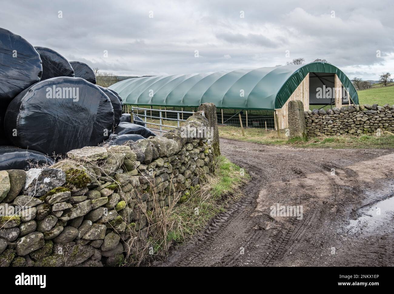 Polytunnel installation hi-res stock photography and images - Alamy
