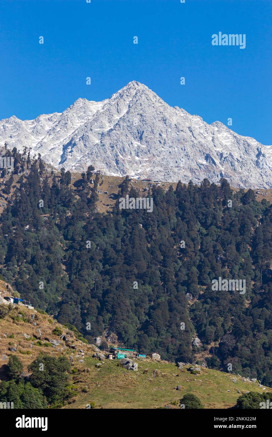 View of Triund Trek Top, Trekking Way, Dharamshala, Himachal Pradesh ...