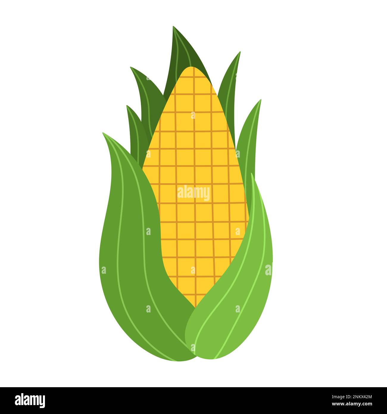 Cartoon corn golden maize harvest hi-res stock photography and images ...