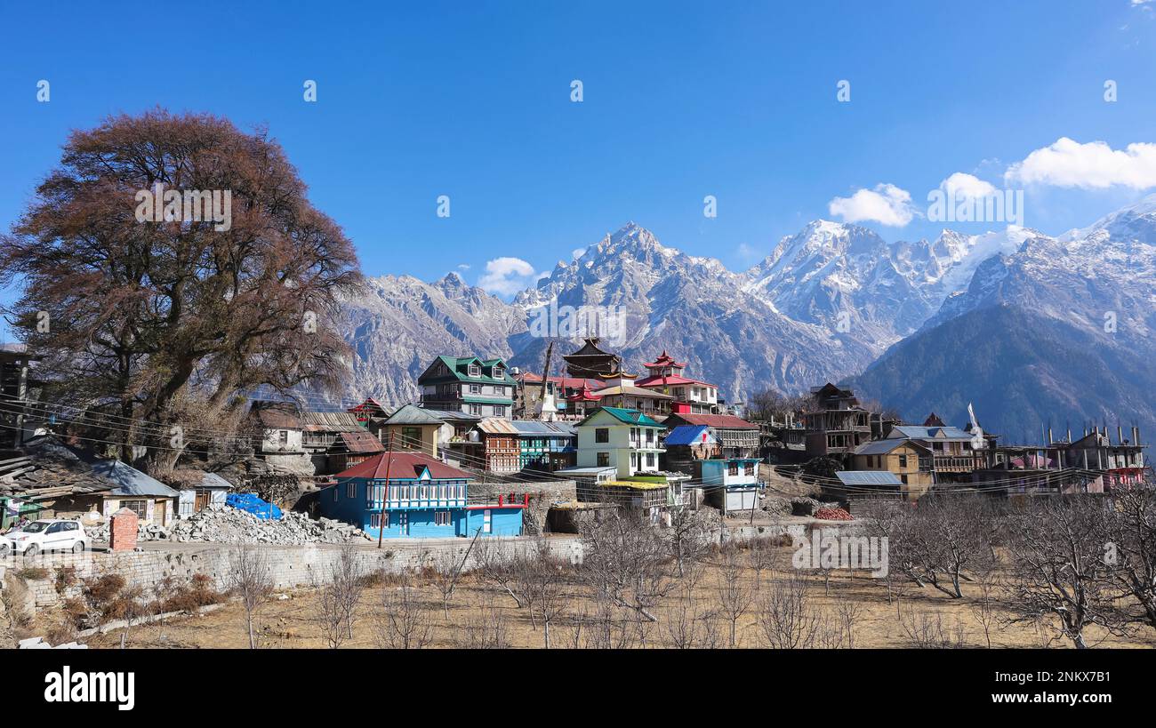 View of Kalpa Village and Kinnaur Kailash Mountain, Kinnaur, Himachal ...