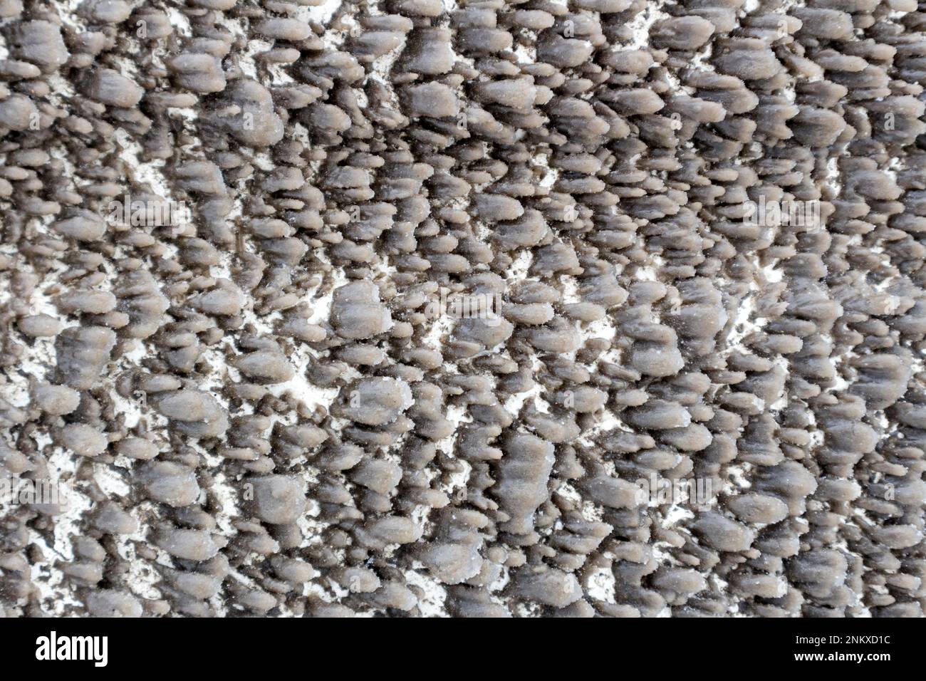Frozen muddy grey water in the wind Stock Photo - Alamy