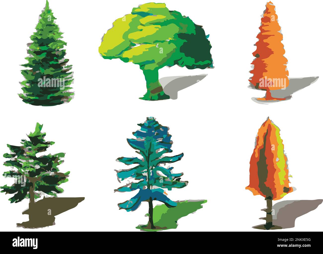 Types of trees hi-res stock photography and images - Alamy