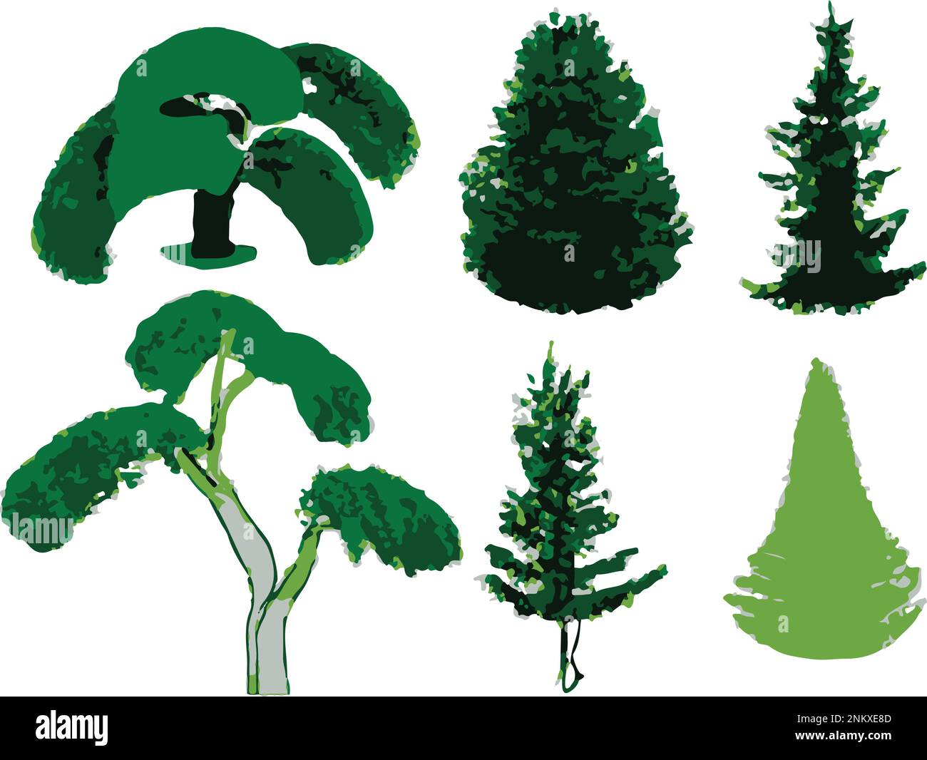 Vector drawing plant Stock Vector Images - Alamy
